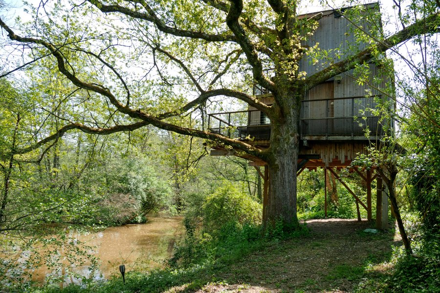 Notre Cabane Perchée & Son Lac Privé - Vallée de la Loire