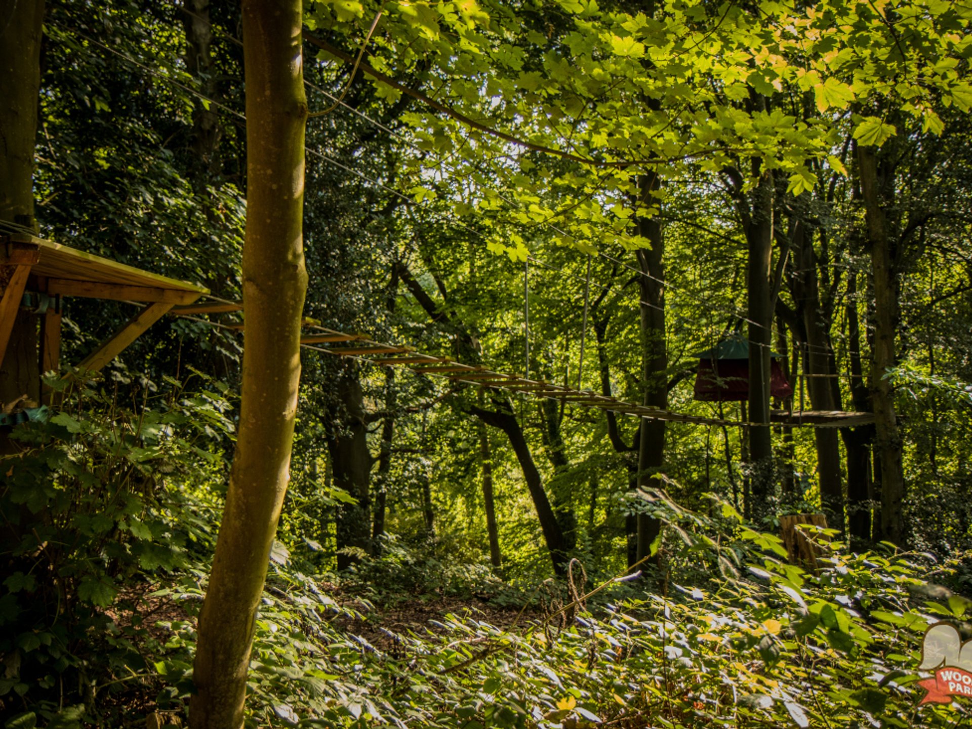 Tente Suspendue Woody Park - Fécamp