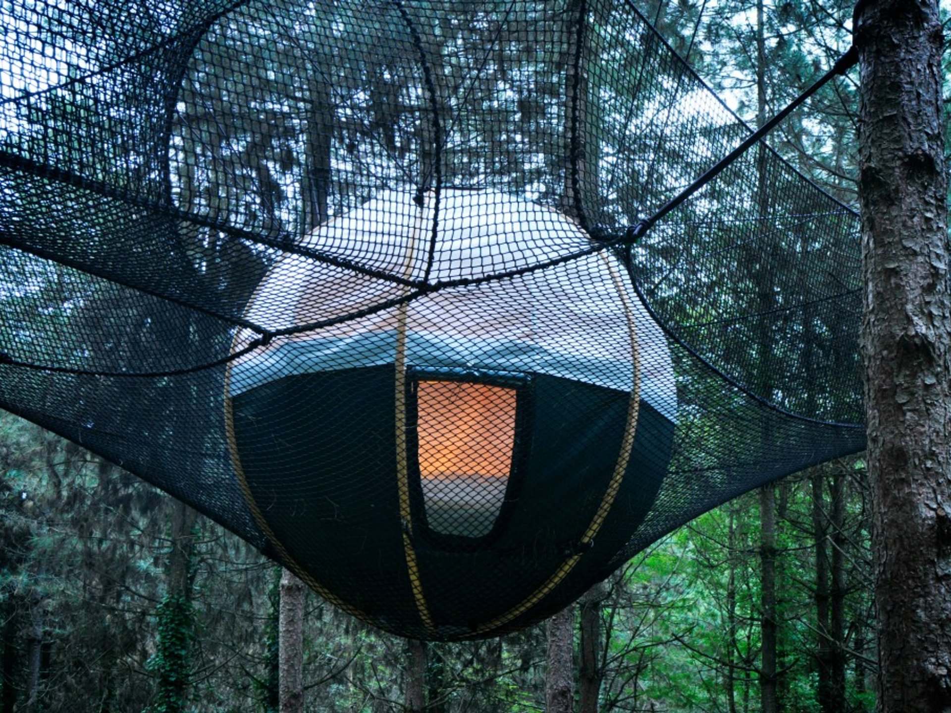 Les Geais - Pays basque français