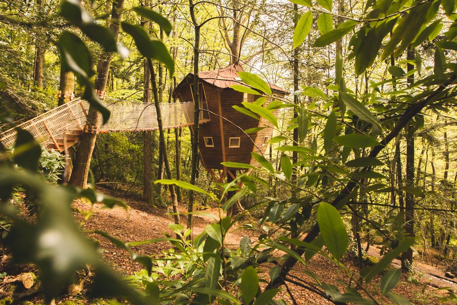 Cabane Ben Lomond - Finistère