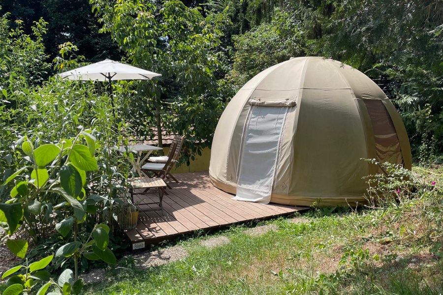 Polaris - Selva Negra