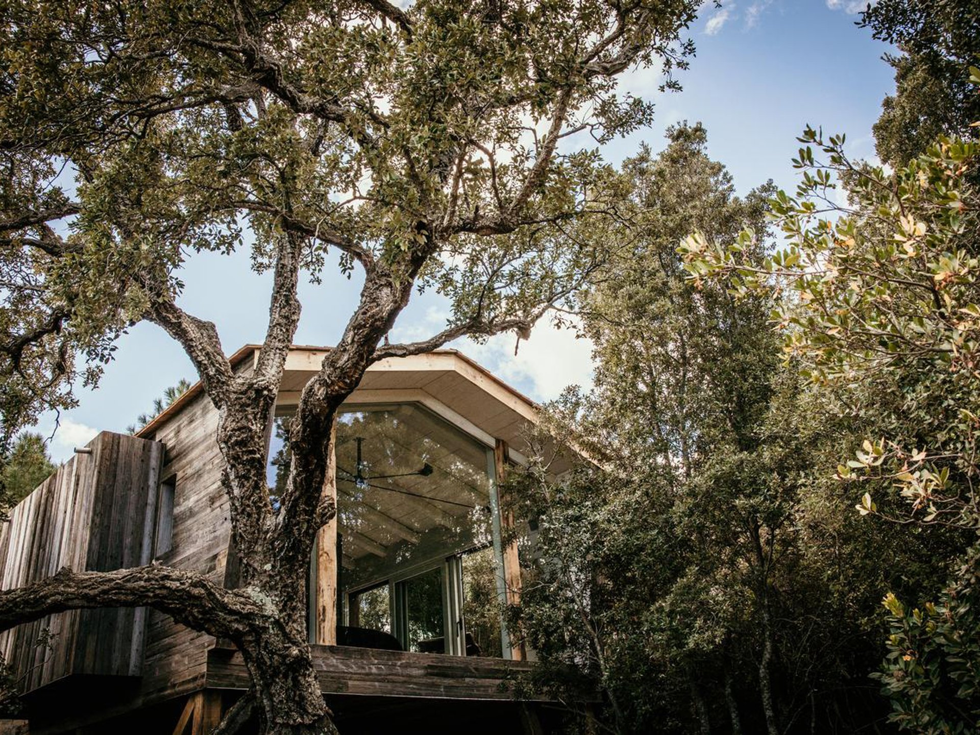 Orion, Cabane Casanghjulina - Korsika