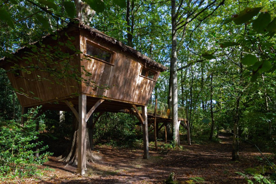 Cabane Mésange - Mayenne