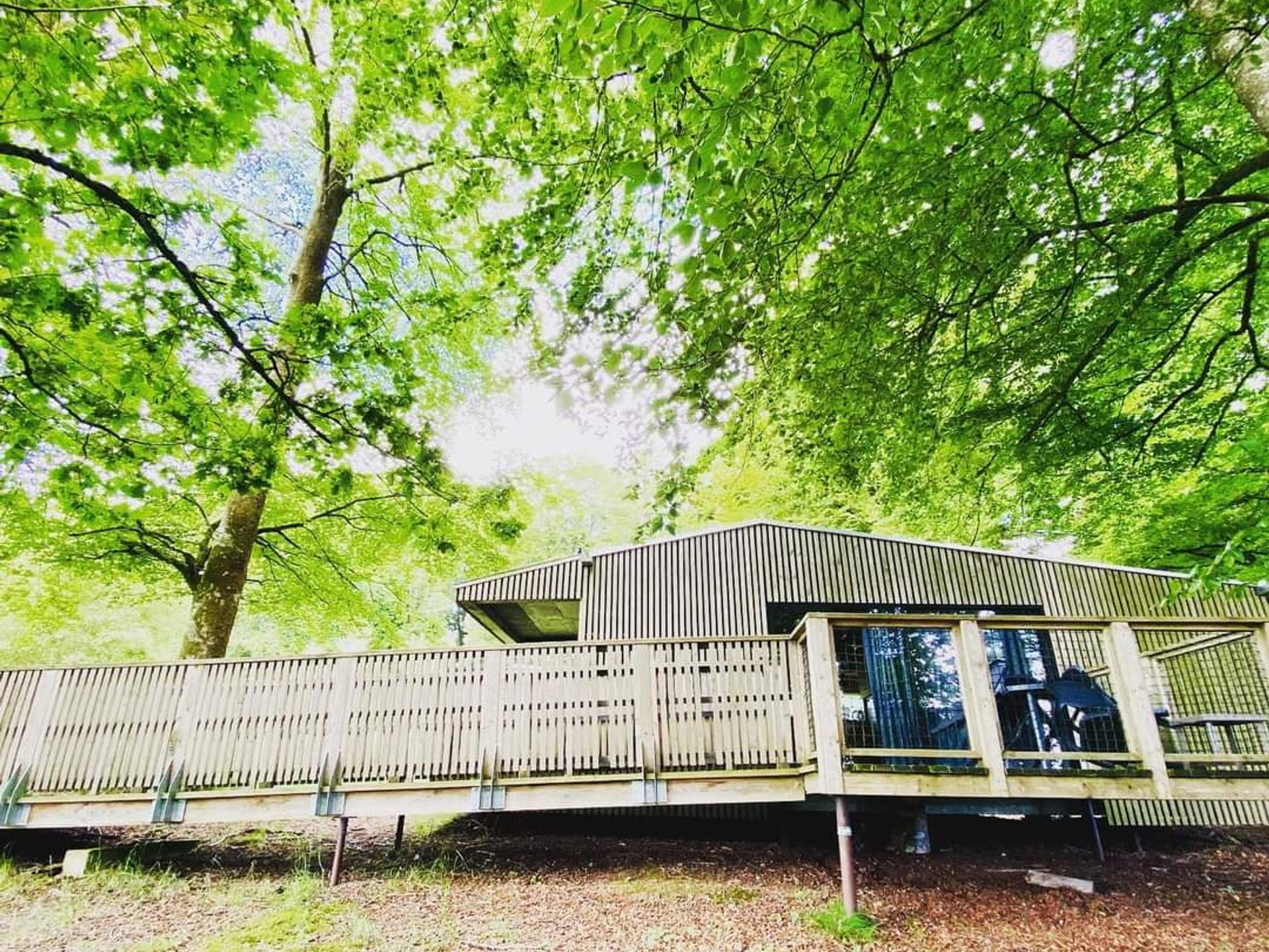 Chalet-lodge & Spa N°1 [Copie] - Normandy