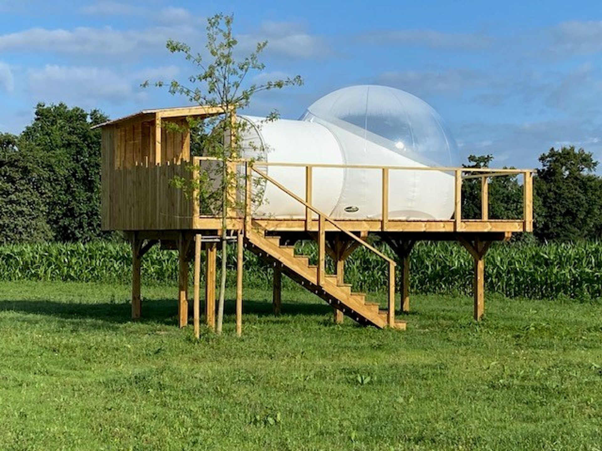 La Bulle De La Fée Viviane - Ille-et-Vilaine