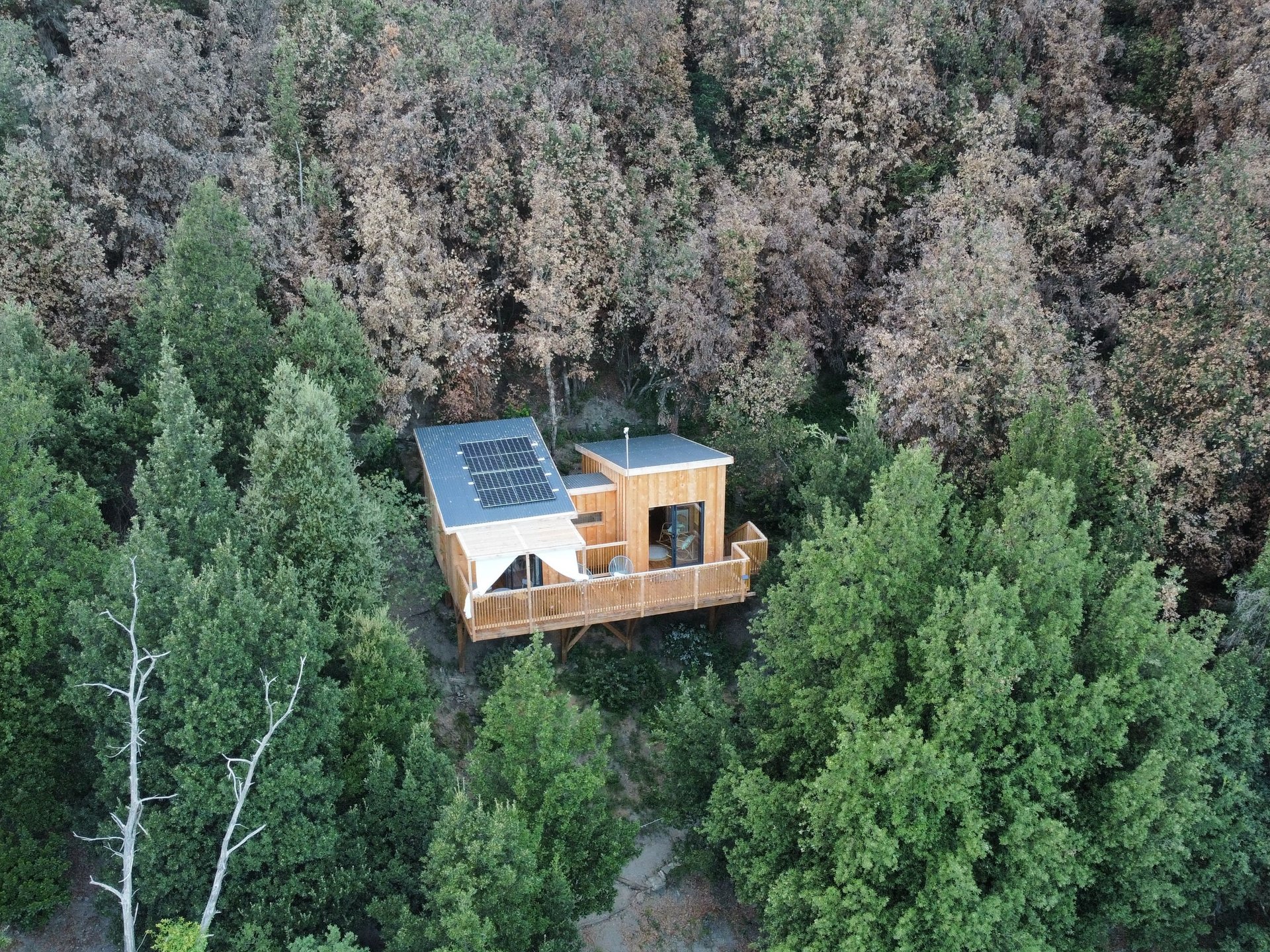 Cabane Surghjente - Haute-Corse