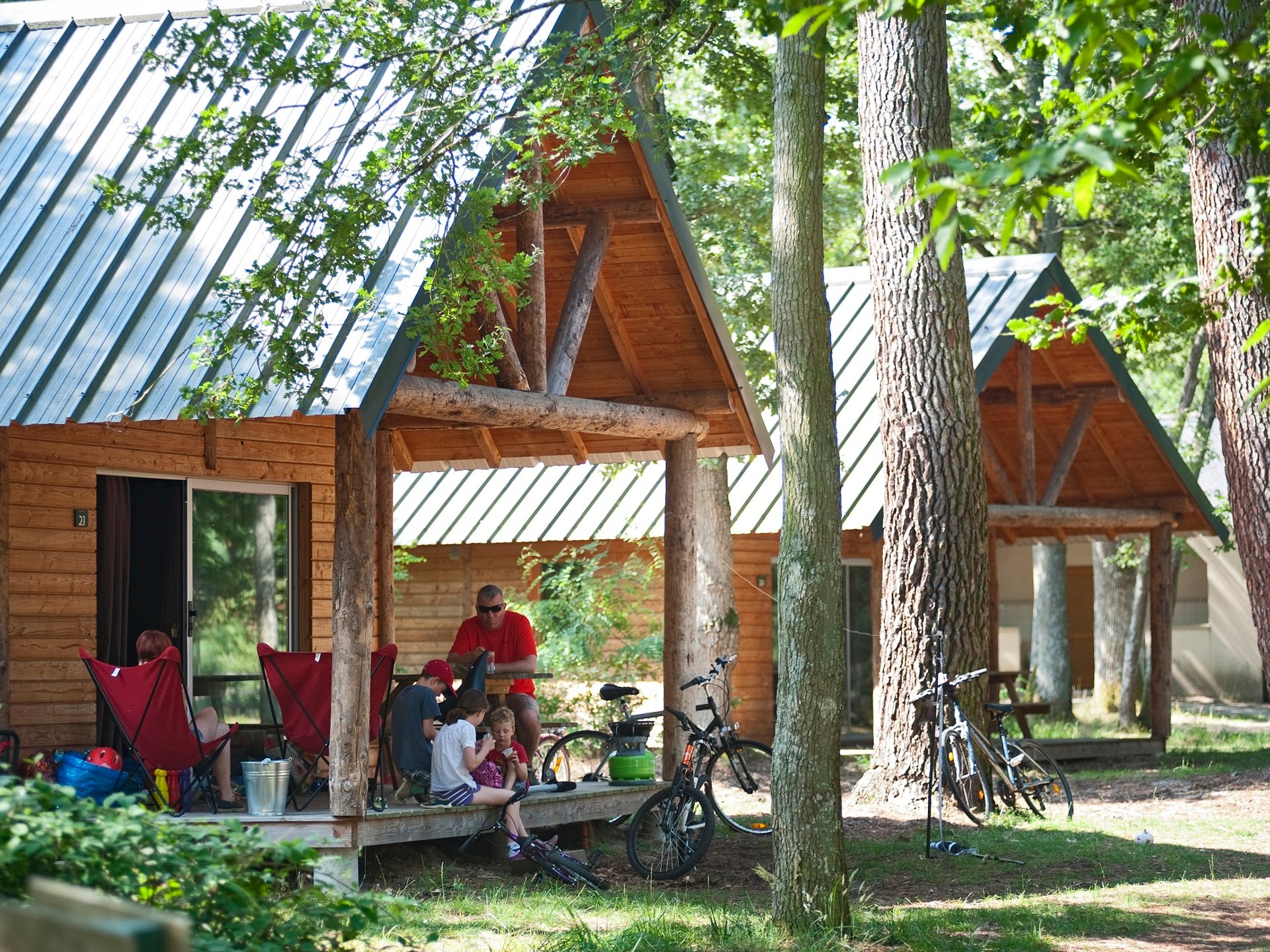 Cabane Forêt Rillé N°2 - Touraine