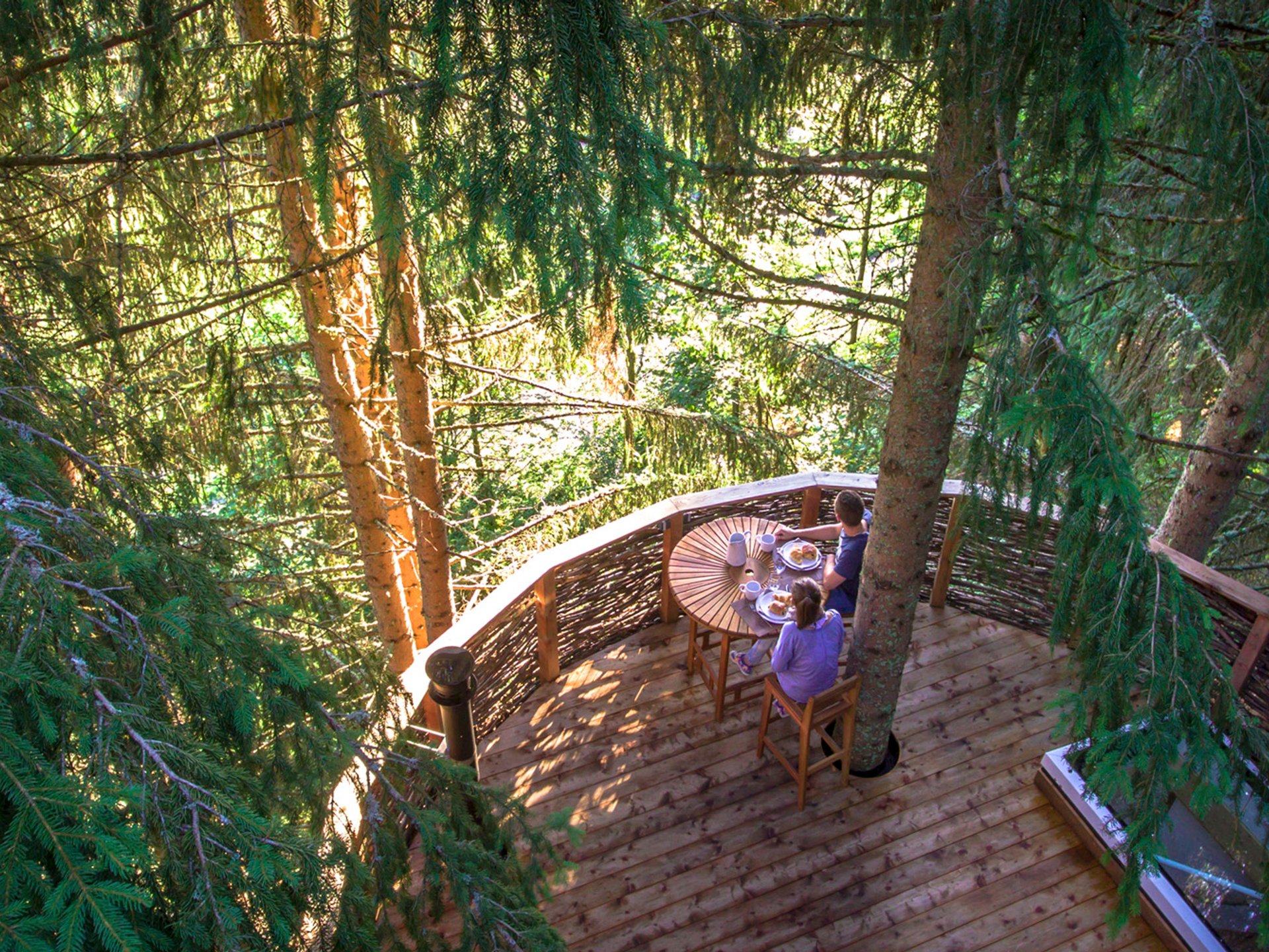 Cabane Nid - Ugine