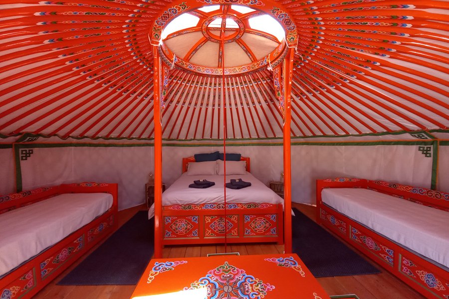 Yourte Lavandin 2 - Sault