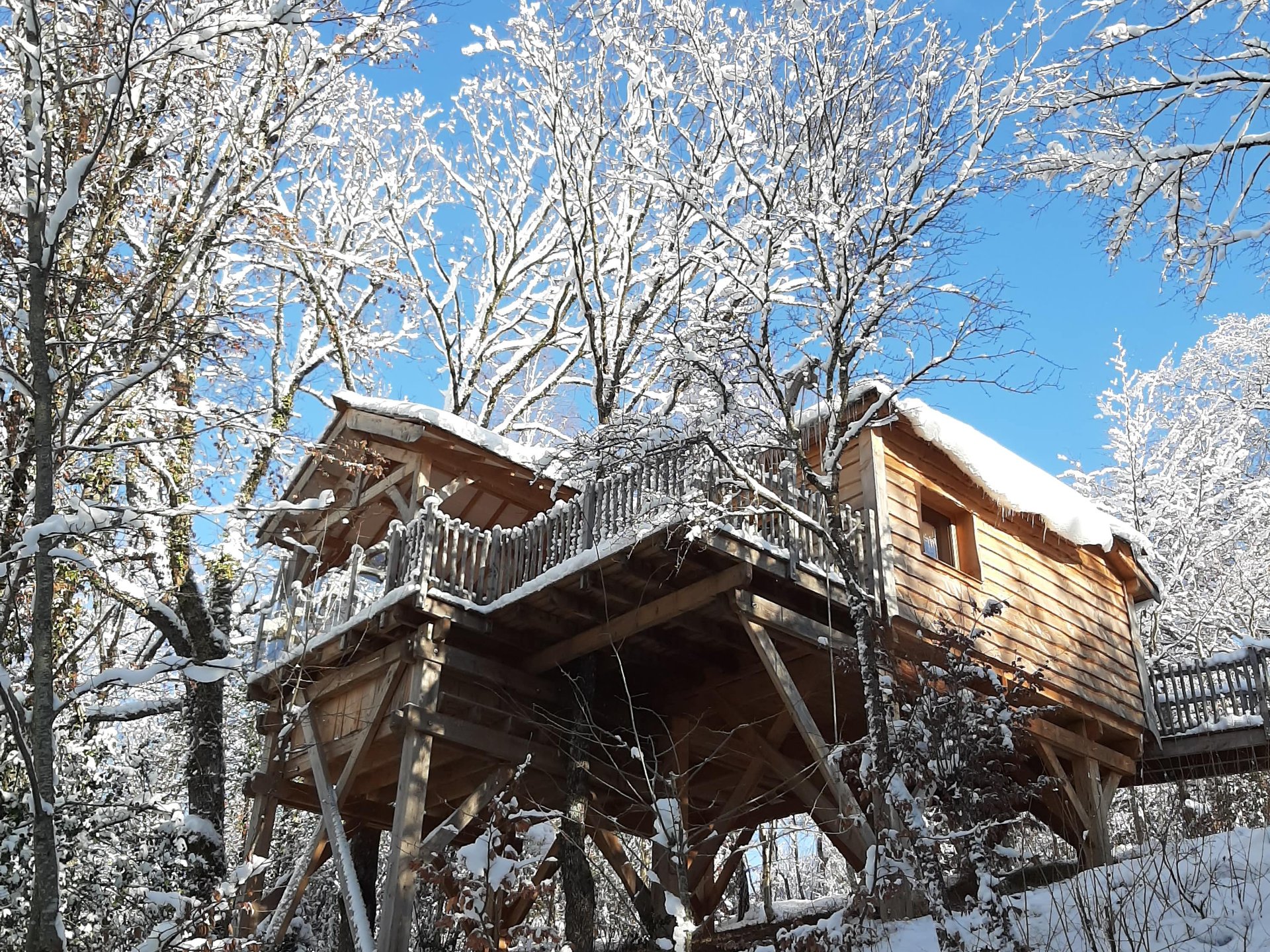 Cabane Spa Ecureuil - Jura