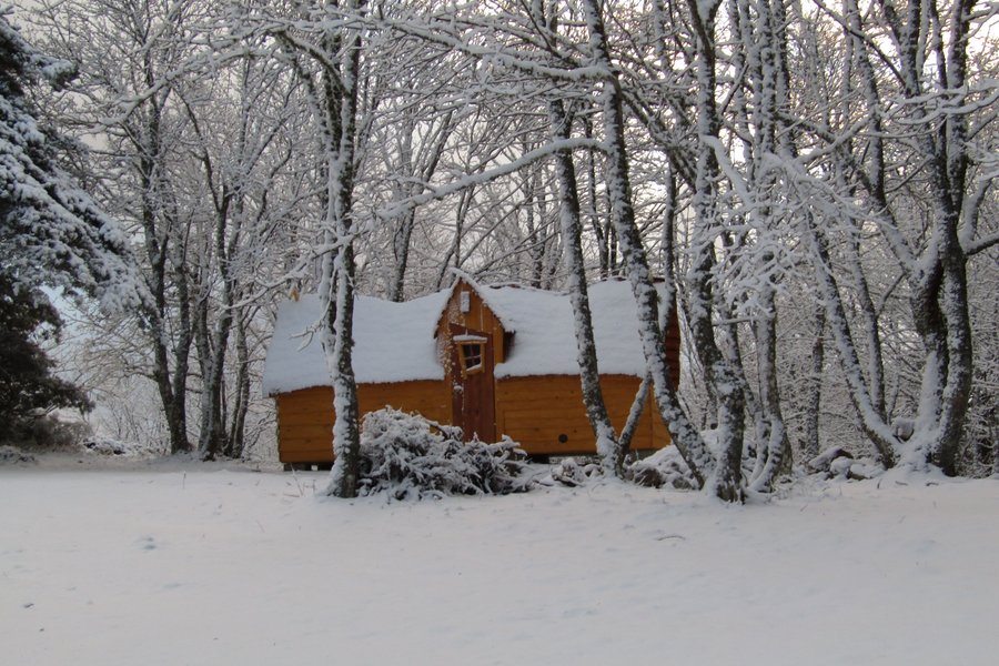 Kota Finlandais [Copie] - Ardèche
