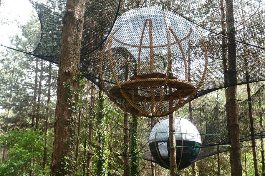 Hiboux 1 - Pays basque français