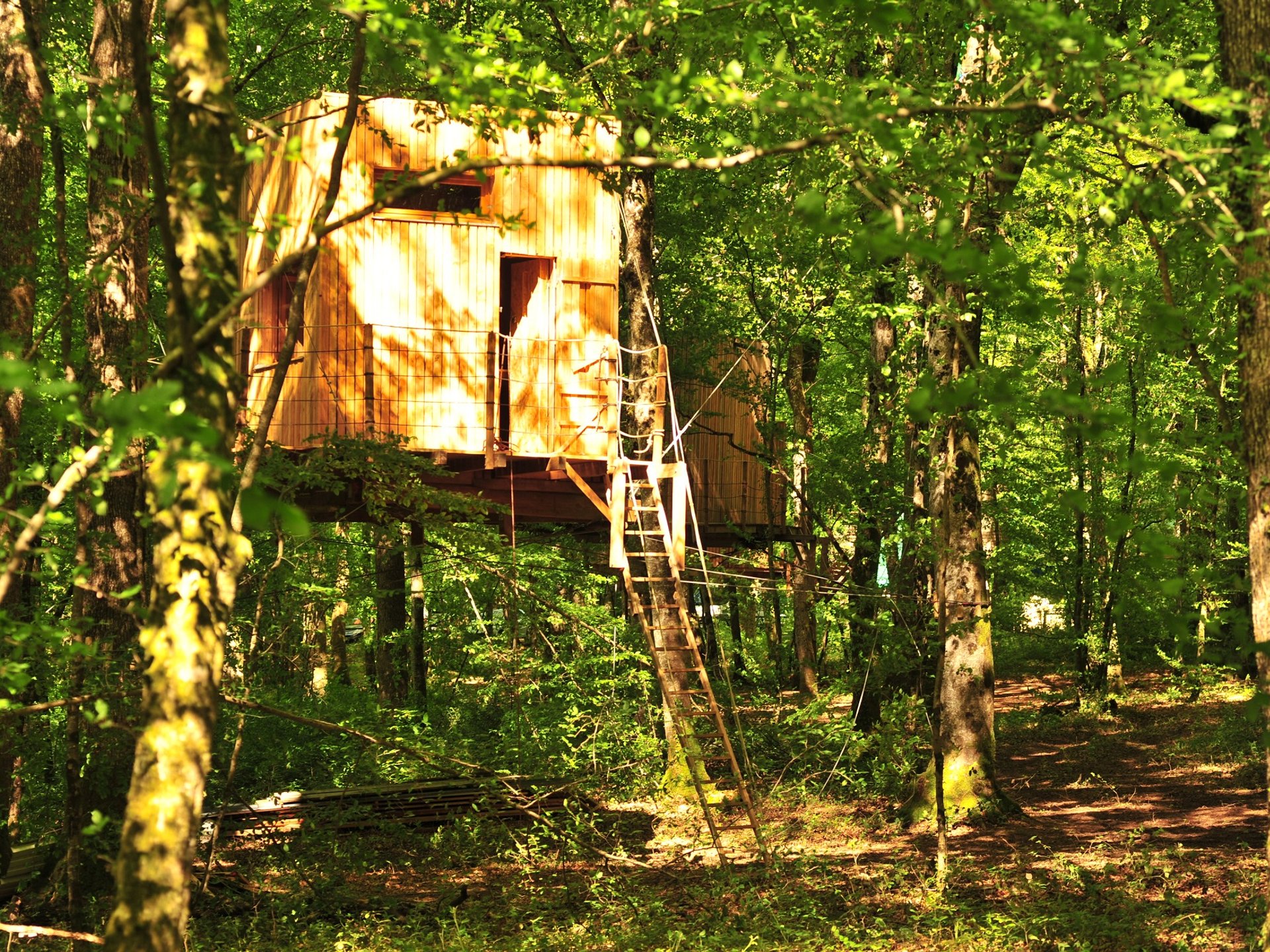 La Cabane Du Héron - Département Jura
