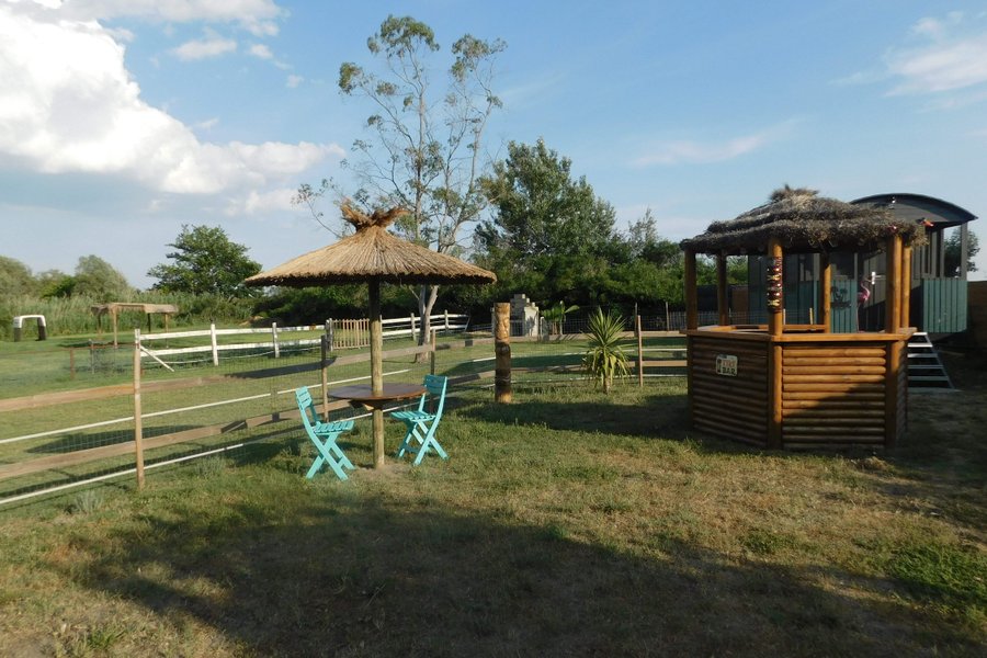 Roulotte Pura Vida - Camargue