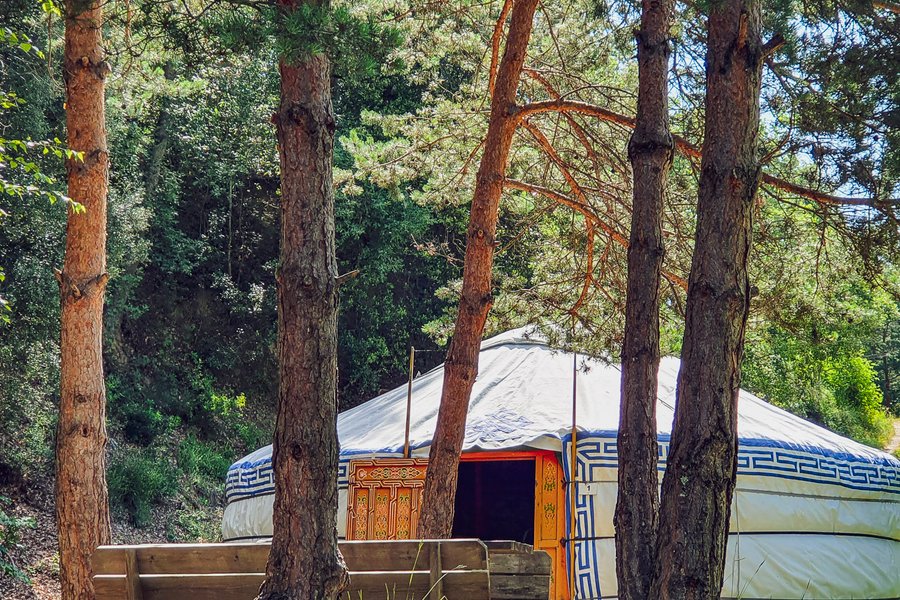 Yourte Xl 4/6 Pers - Languedoc-Roussillon