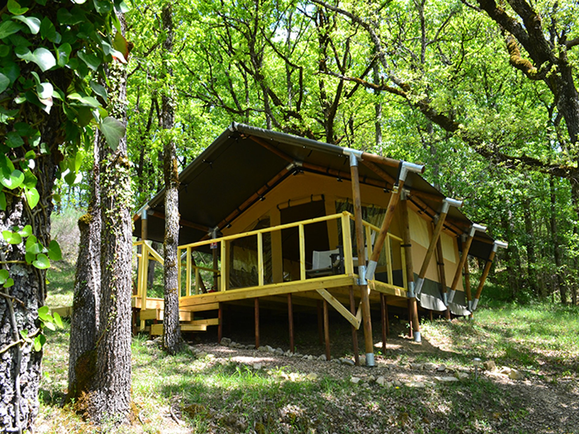 Shimoni, Dans Les Bois - Tarn-et-Garonne
