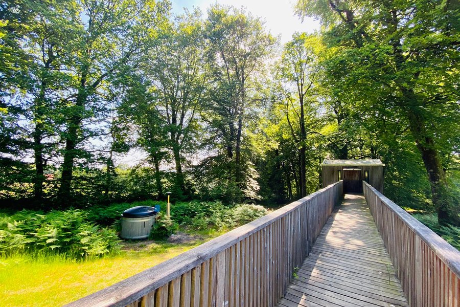 Cabane Spa Dans Les Arbres (4m) - Cotentin