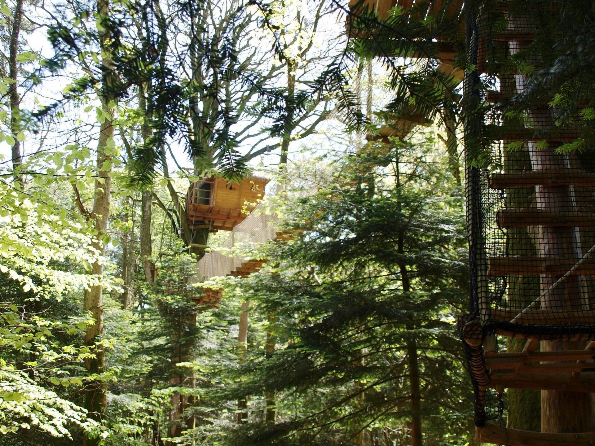 Cabane Nid Clos - Cléder