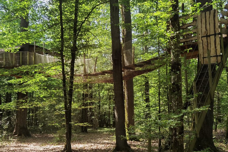 Cabane Champignon - Marne