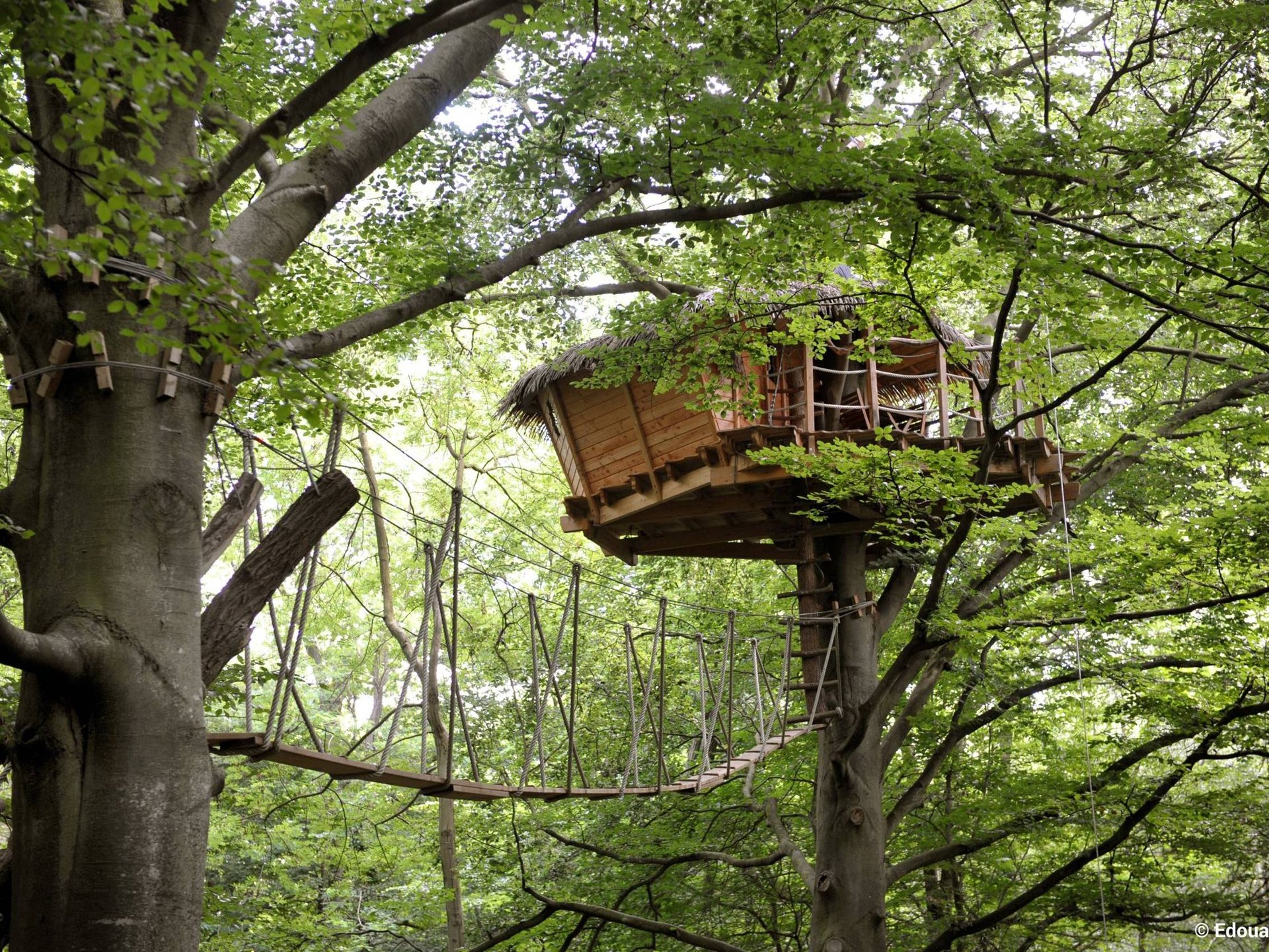 Berceau - Upper Normandy