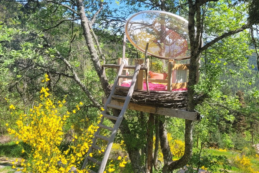 Le Nid, Perché à La Cime De L'arbre & Piscine - Ardèche