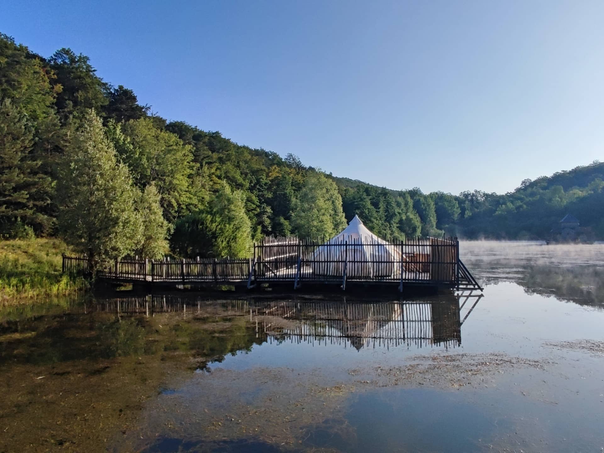 Lotus Flottant Spa - Libellule - Côte-d'Or