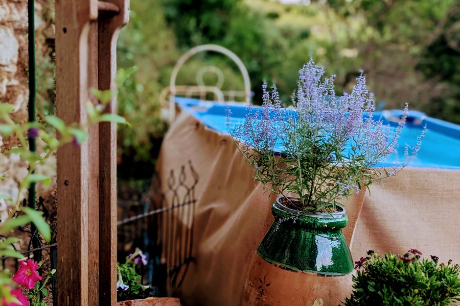 Boa Vista, Magnifique Mazet Provençal - Gigondas