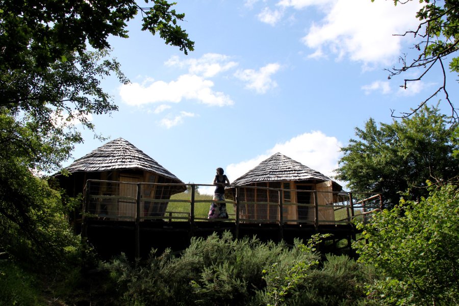Chambre Bucolique 2 - Les Epesses
