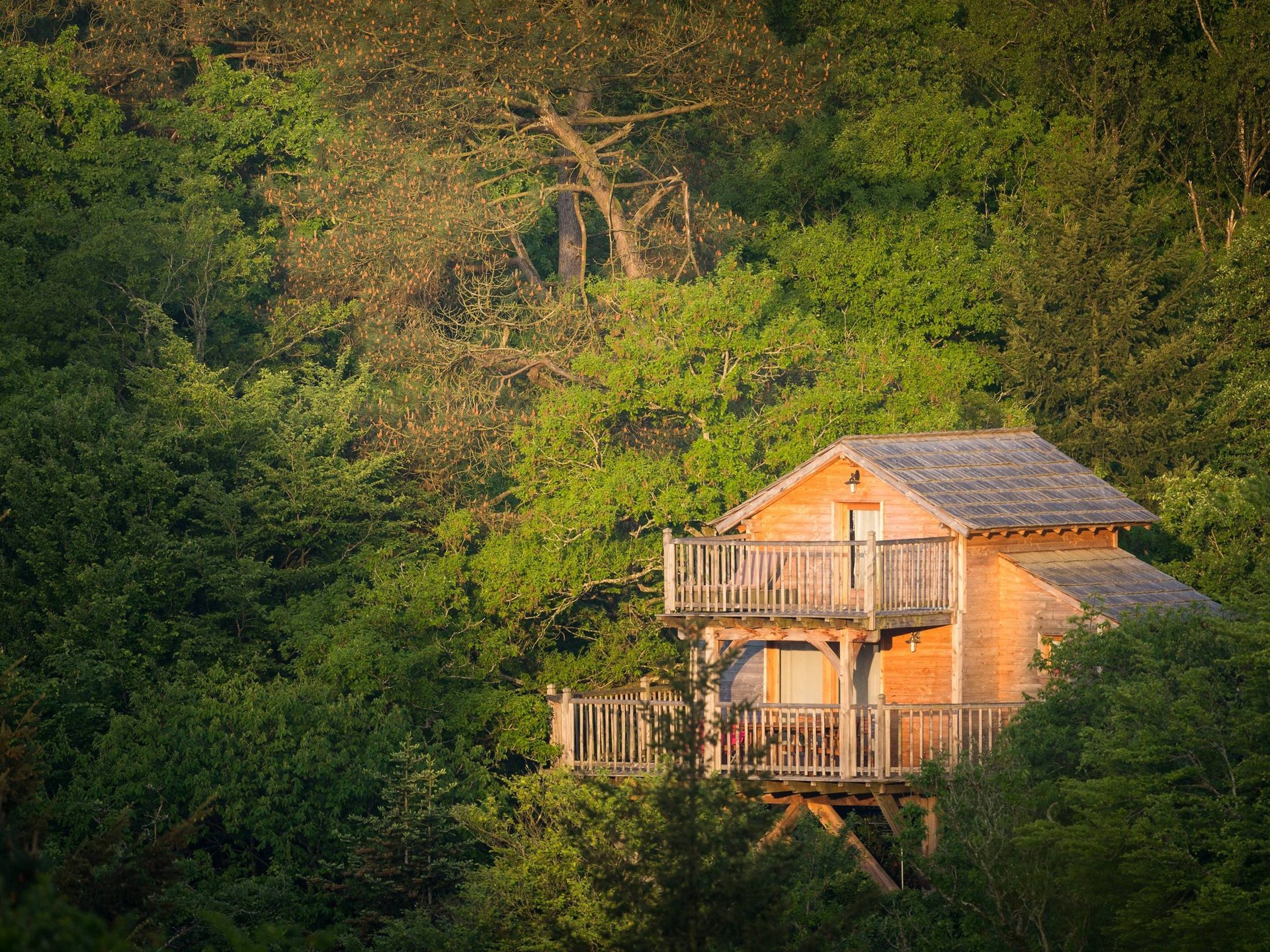 La Cabane Canopée Lodge - Bretagna