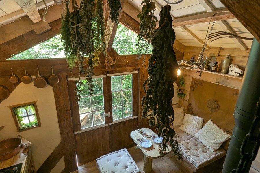 La Cabane Du Druide - Meurthe-et-Moselle