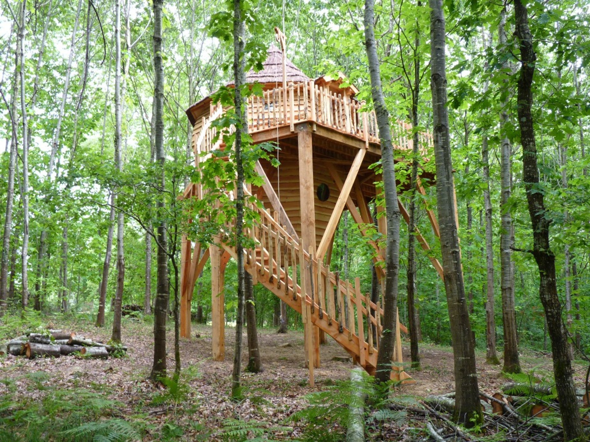 Elona - Pays basque français