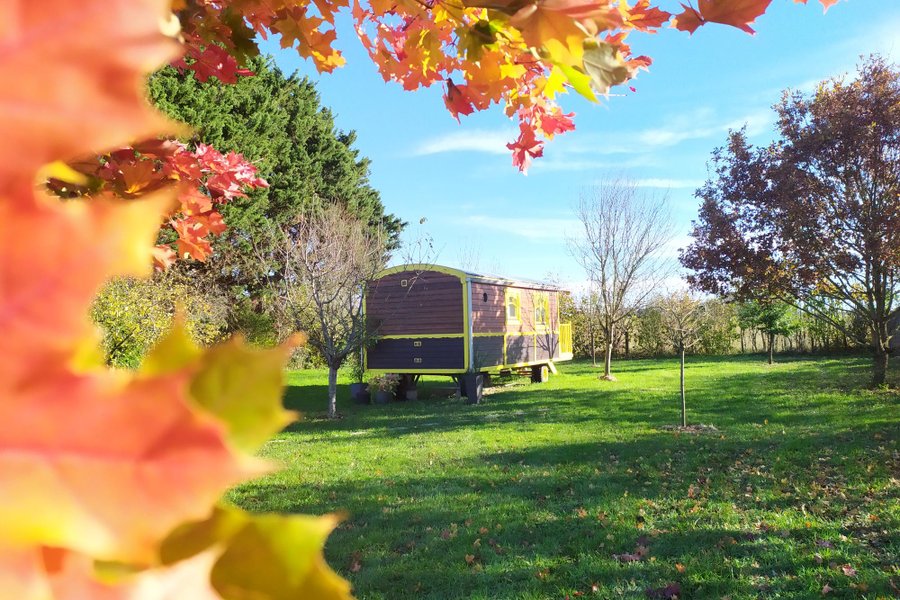 Roulotte Sous Le Soleil * Nature Et Déconnexion - Pays de la Loire