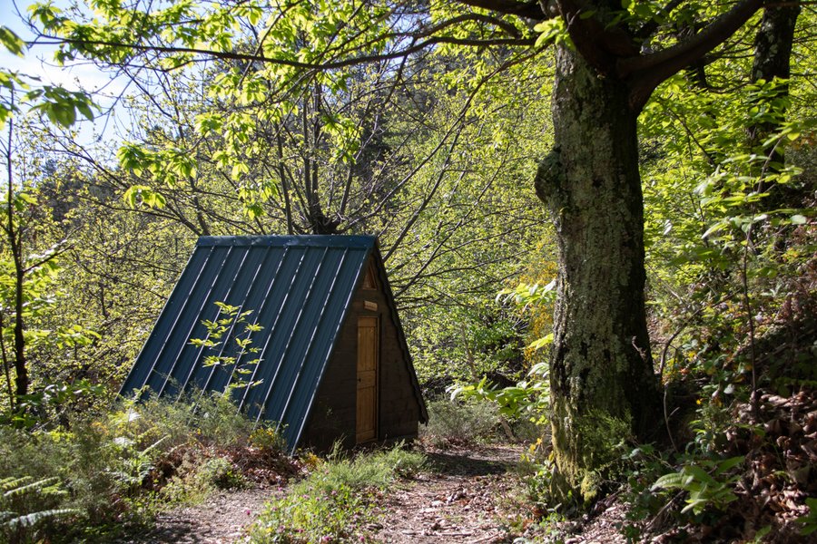 La Cabane Forestière - Saint-Jean-du-Gard