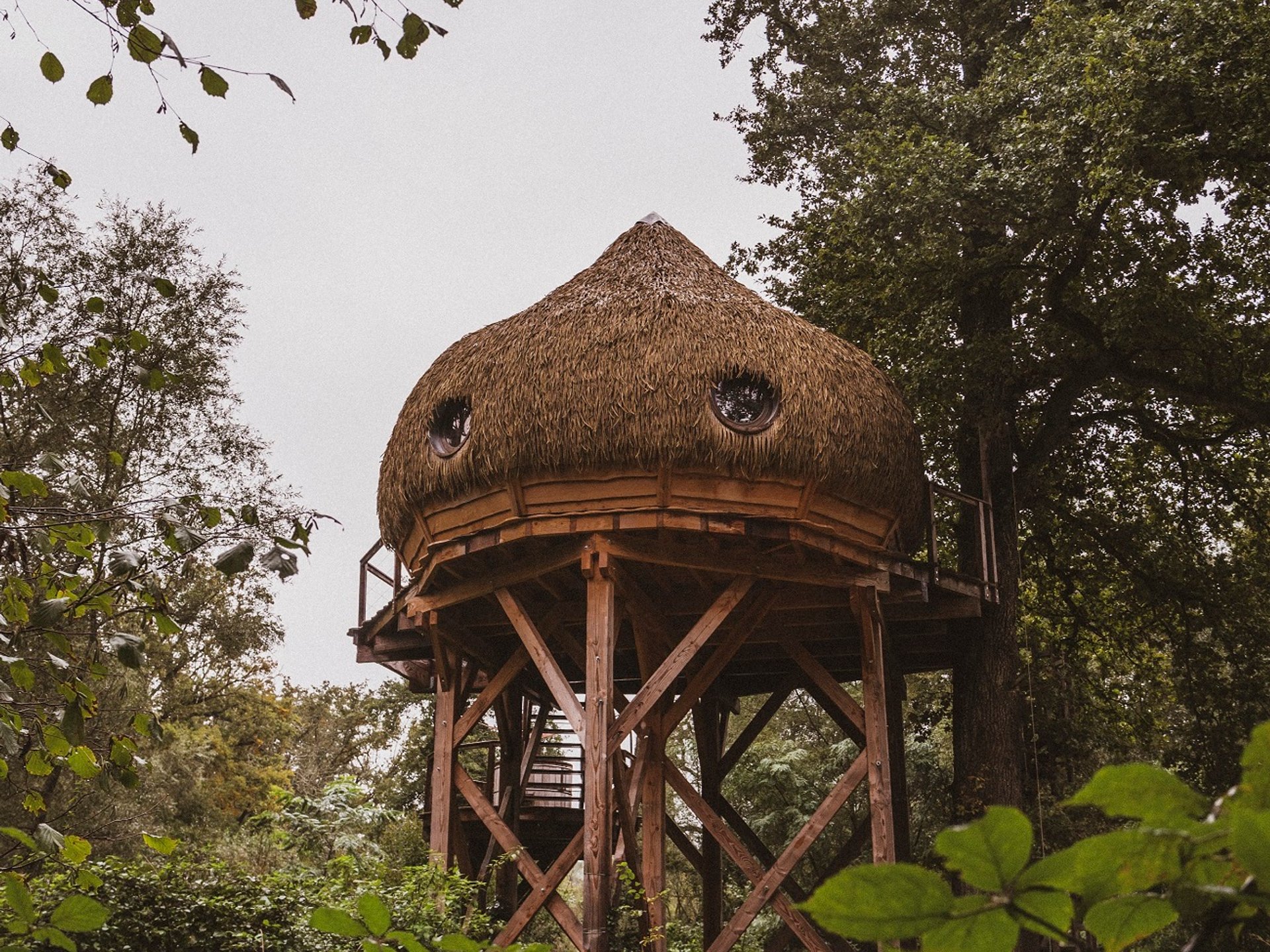 Cabane Spa Sensations - Doubs