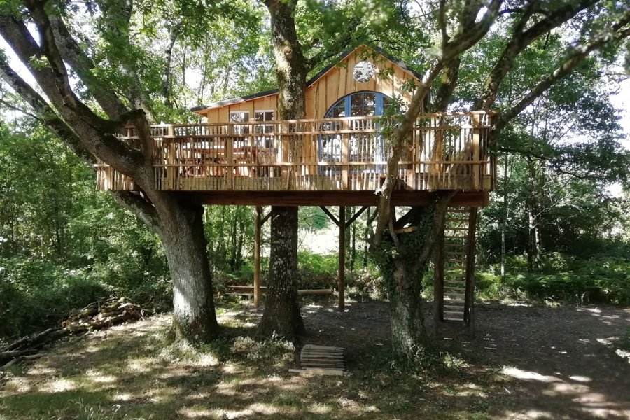 La Cabane Peter Pan - Deux-Sèvres