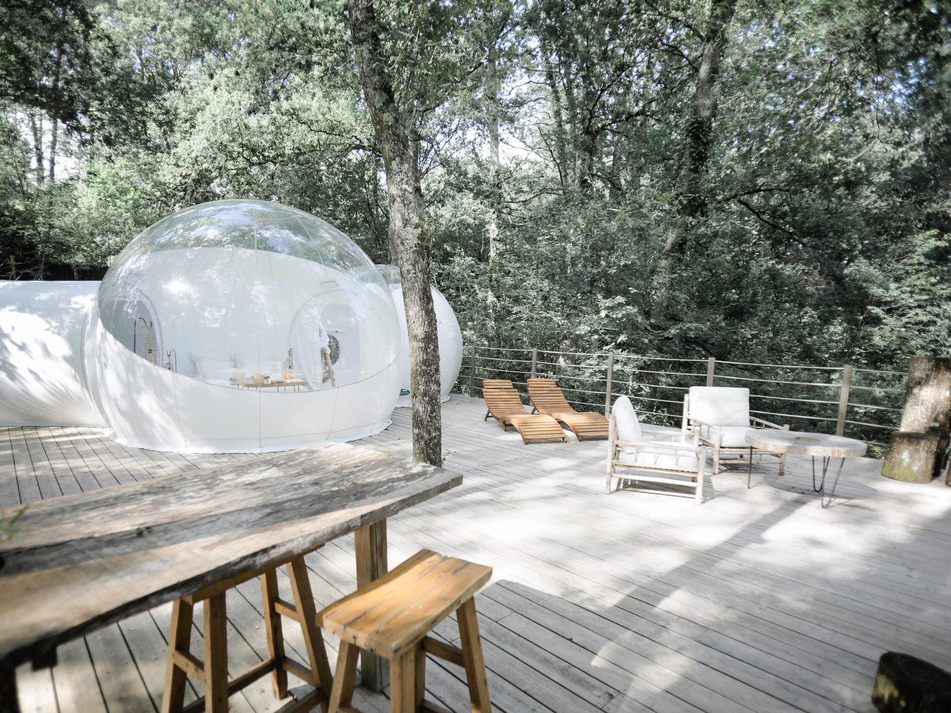 Bulle Spa Petit Verdot - Gironde