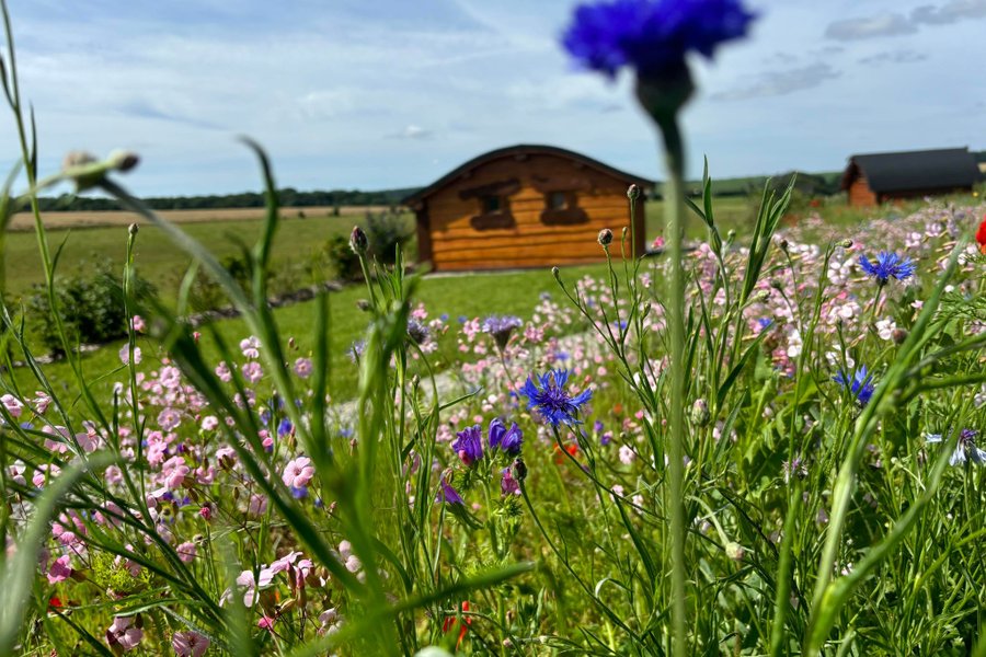 La Cabane Enchantée & Spa - Haute-Marne