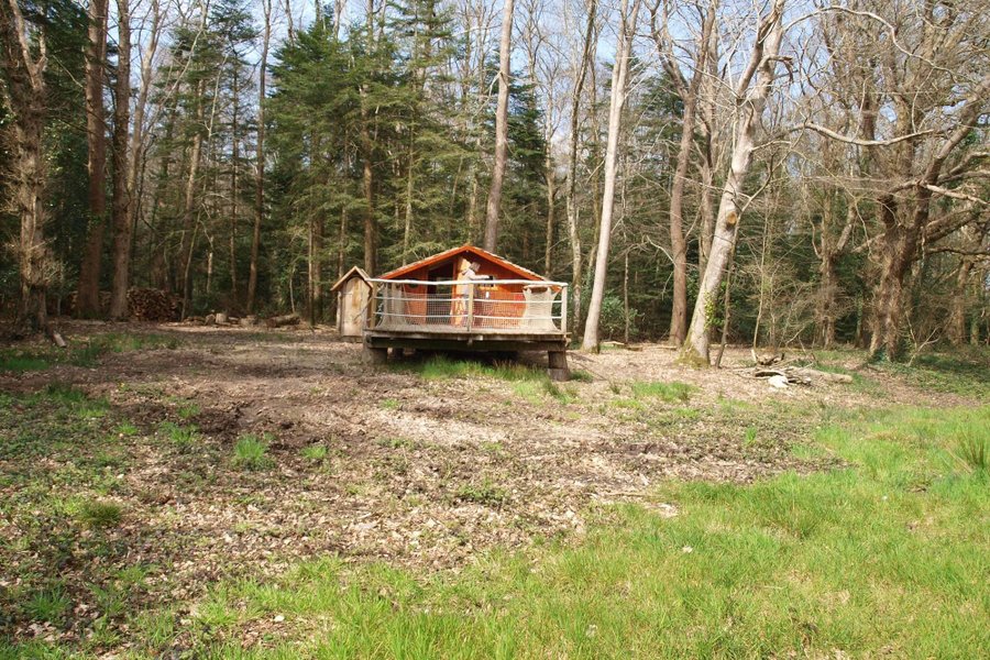 Cabane Stella - Cléder