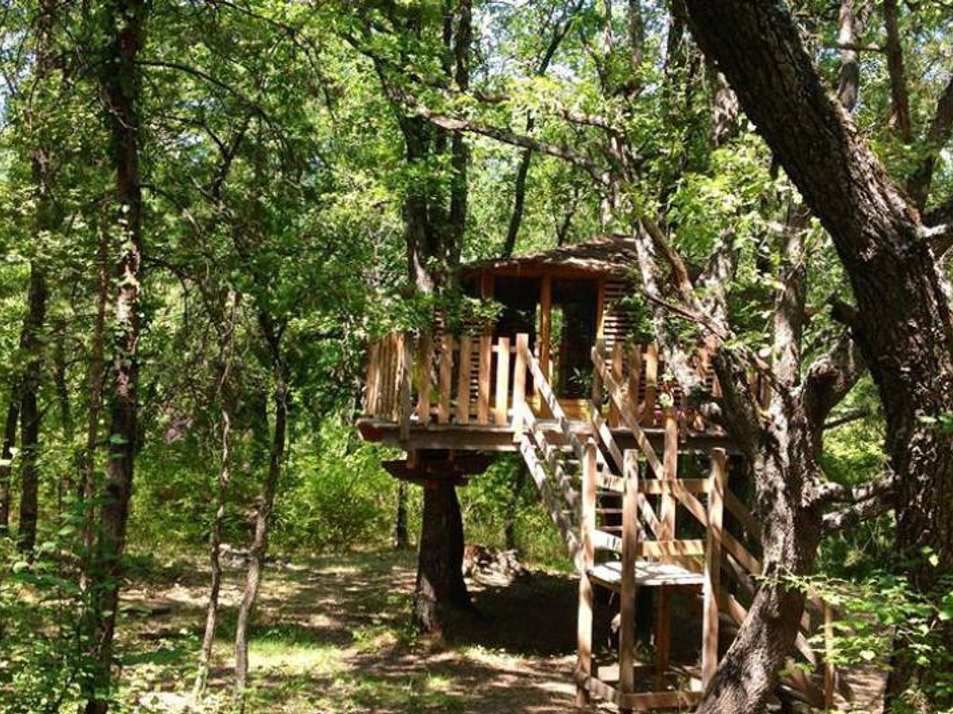 La Cabane De Manon - Alpes-de-Haute-Provence