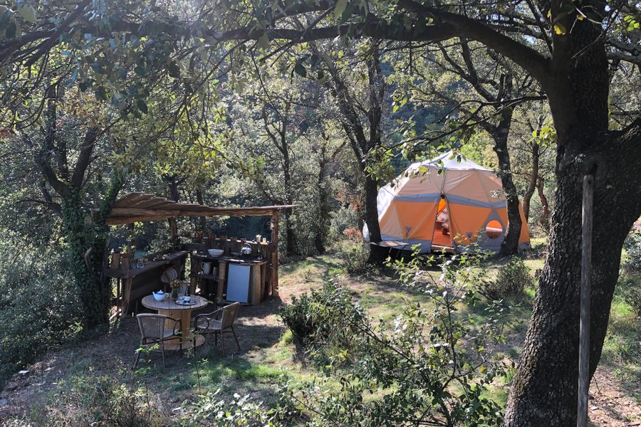 Le Luxe Champêtre D'un Géodôme En Châtaignier - Hérault