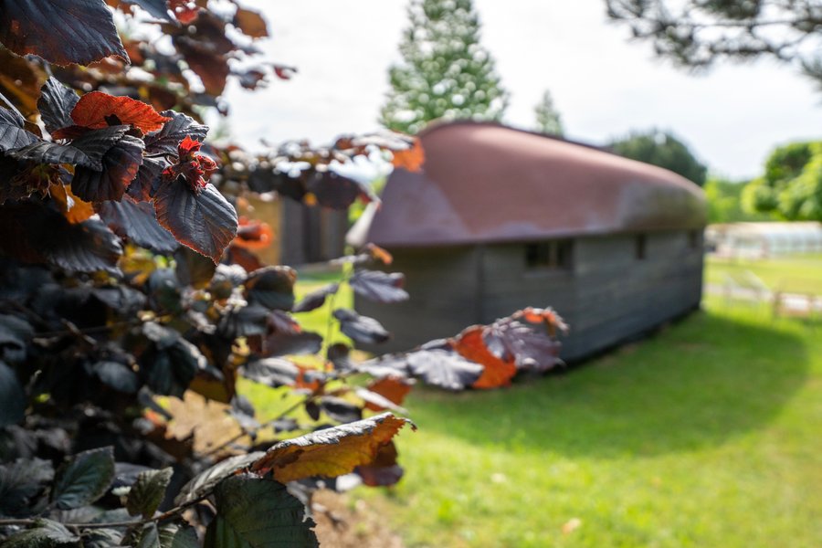 Cabane Familiale Le Rêve De Robinson - Corrèze