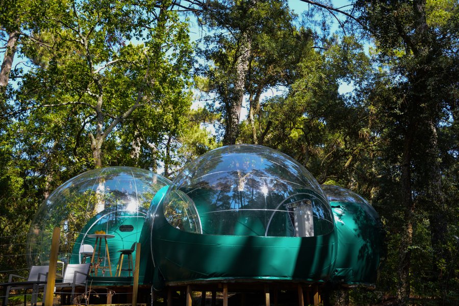 Bulle Verte D'hossegor & Spa - Seignosse