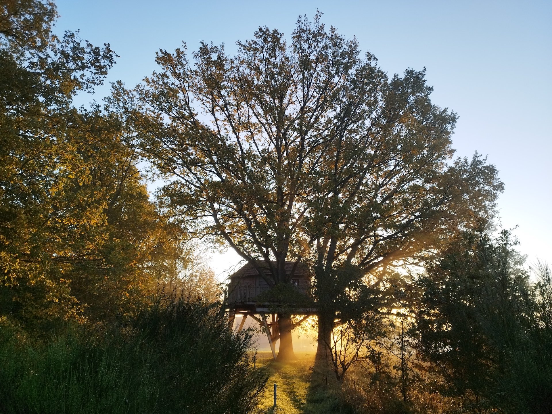 La Cabane Des Chênes - Orne