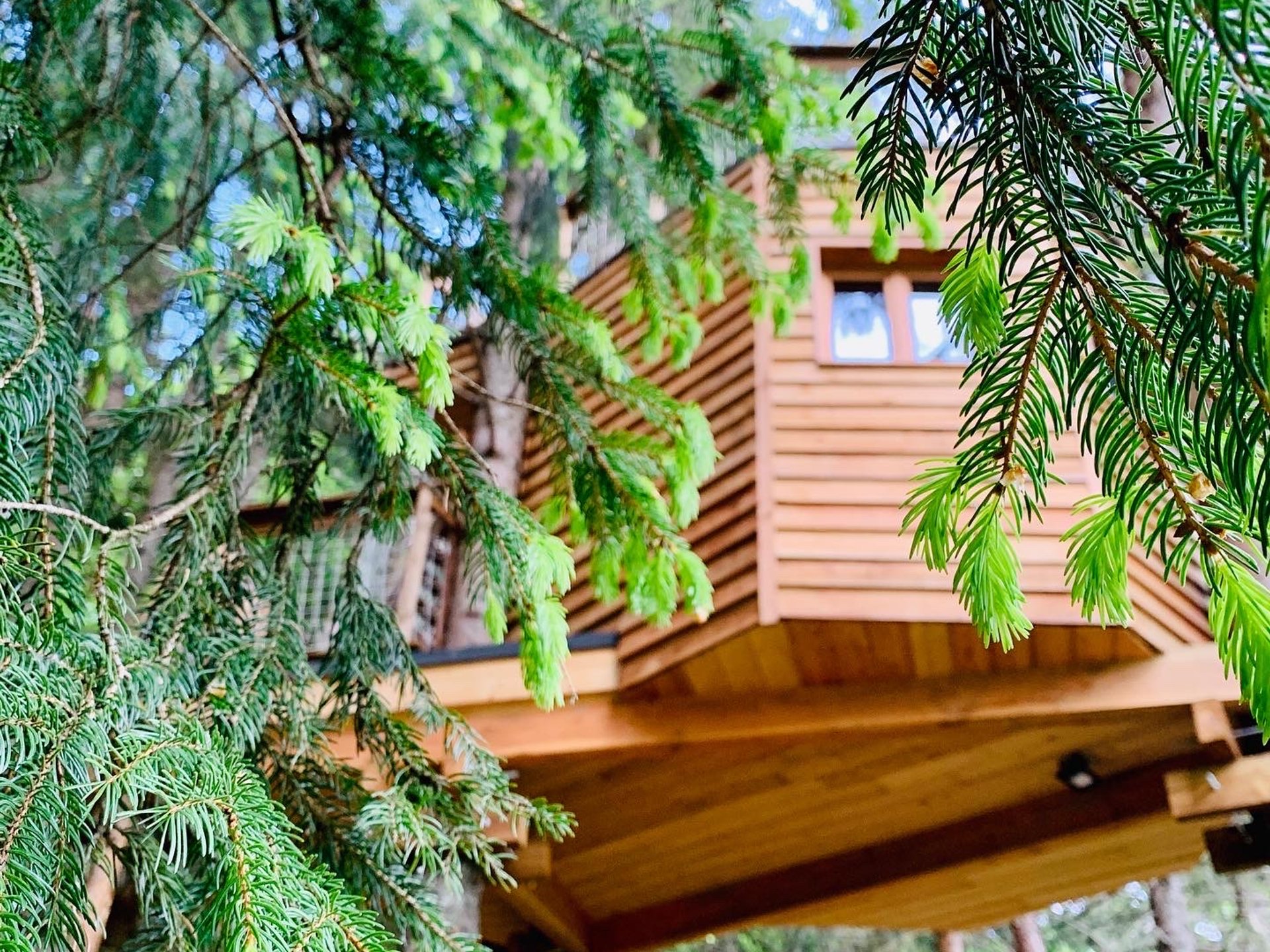 La Cabane Dans Les Arbres De Valmo'insolite - Rhône-Alpes