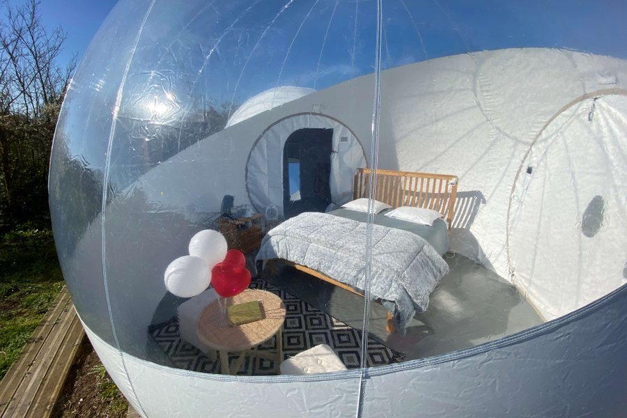 La Bulle Belle De Nuit - Bressuire