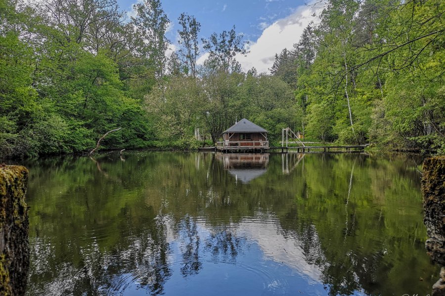 Cabane Martin-pêcheur - Mayenne